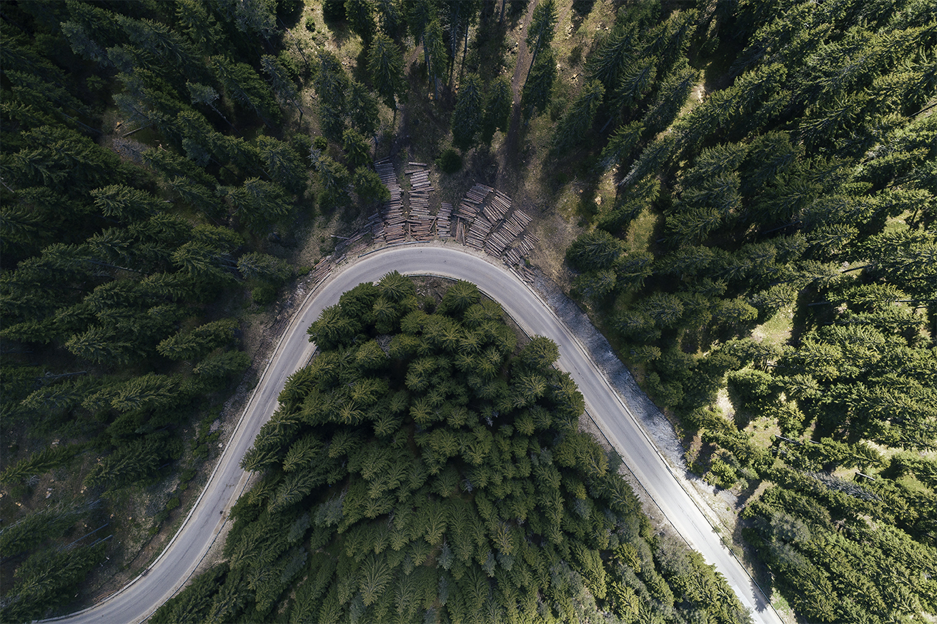 BloombergTV: Putting Finance on a Faster Path to Green - SIFMA ...